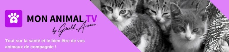 Mon animal TV, la chaîne des animaux de compagnie - Le Monde des Animaux