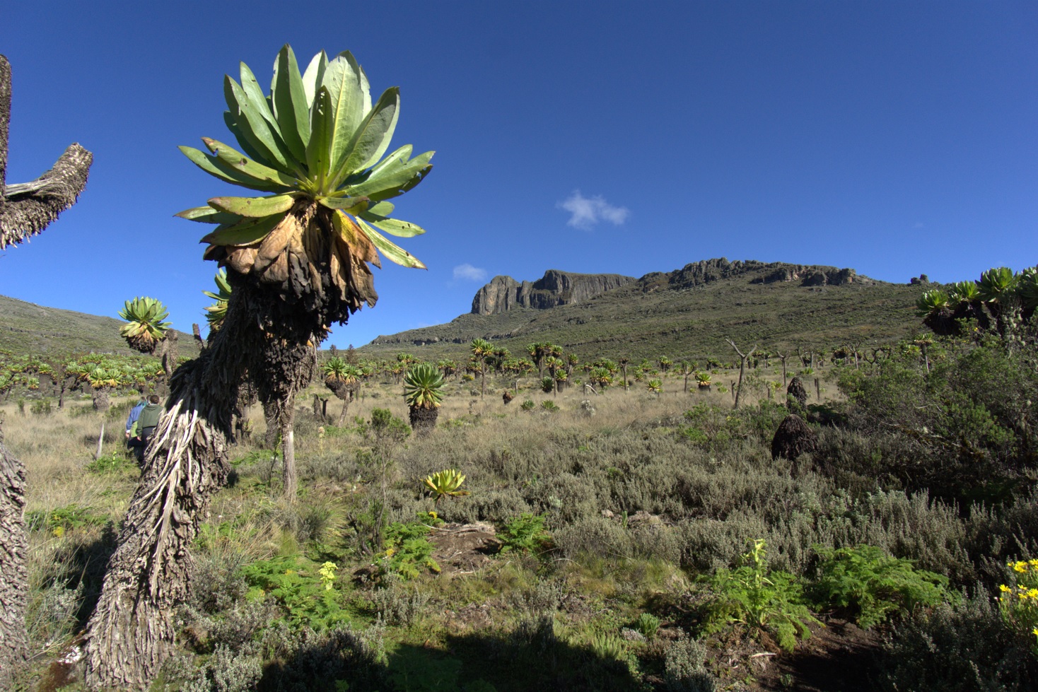L’UNESCO désigne 11 nouvelles réserves de biosphère - Le Monde des Animaux